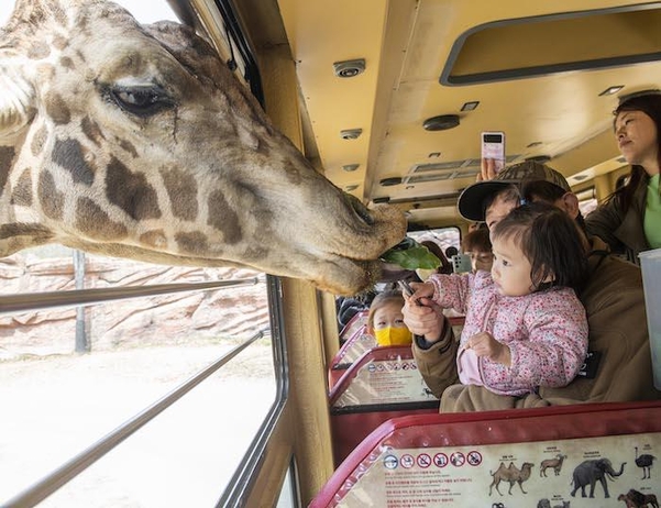 [유통가 투데이] CU 2900원 피자·LF 티피코시 재론칭 外